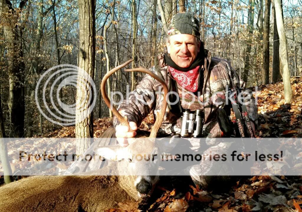 World record spike whitetail..... | Archery Talk Forum