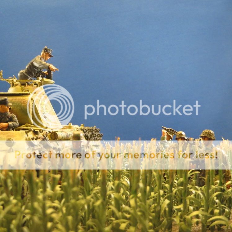 Panther Diorama - Non-LSP Works - Large Scale Planes